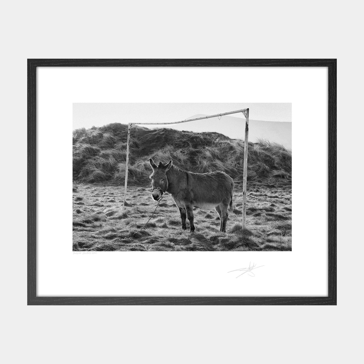 Dingle donkey - Black and white photos | Giles Norman Gallery